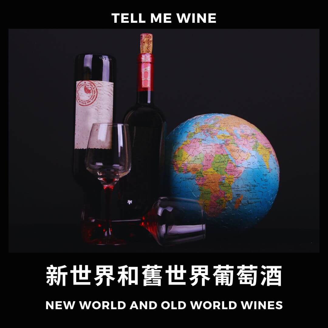New World vs Old World Wines – Maitre de Vin® | Smart Multi-function ...