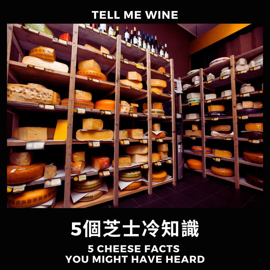 5 Facts About Cheese – Maitre de Vin® | Smart Multi-function Wine ...