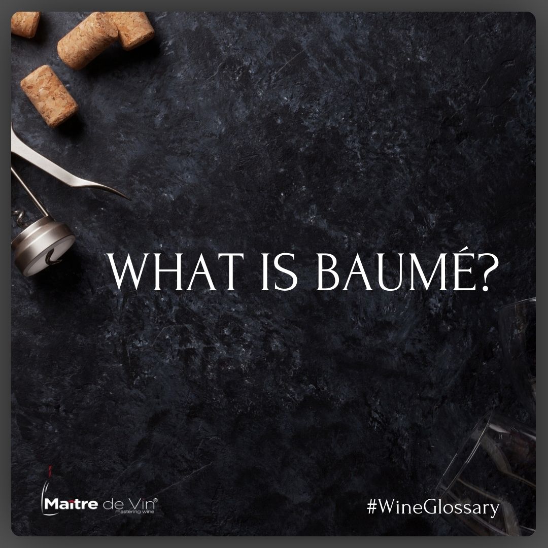 What is Baumé? – Maitre de Vin® | Smart Multi-function Wine Cooler and ...