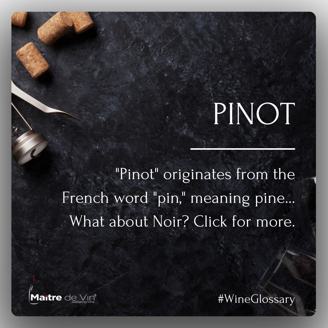 What Is Pinot? – Maitre de Vin® | Smart Multi-function Wine Cooler and ...